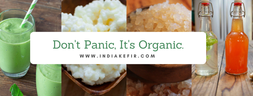 Where to buy kefir in India | How to make kefir in India