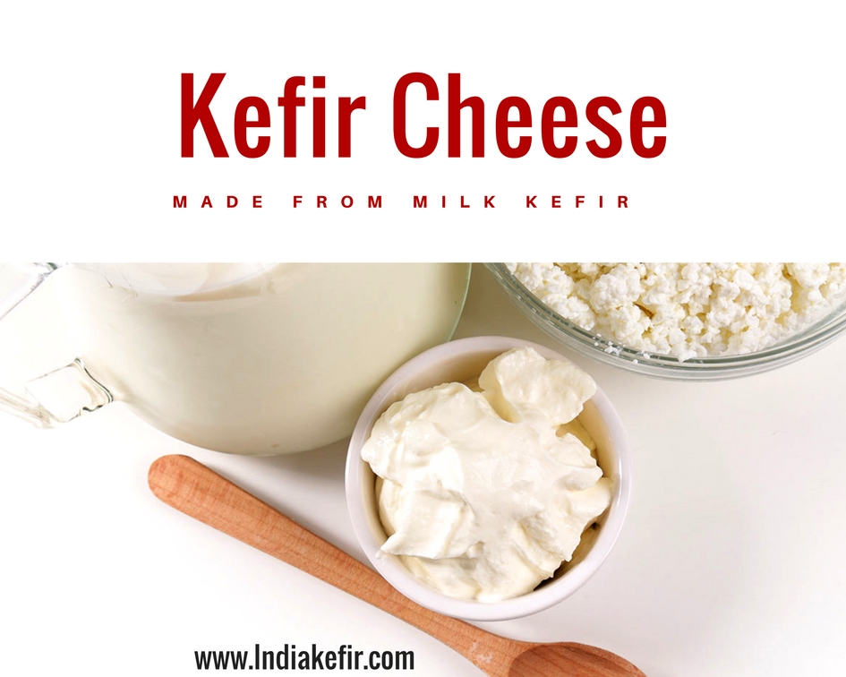 Buy Milk kefir grains online in India at best price | Buy Milk Kefir ...