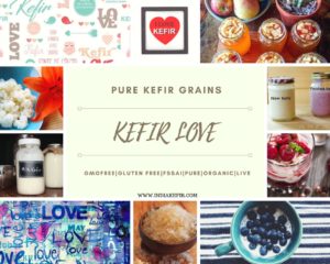 Buy Kefir Grains online in india | Buy Kefir Online | Where to buy ...