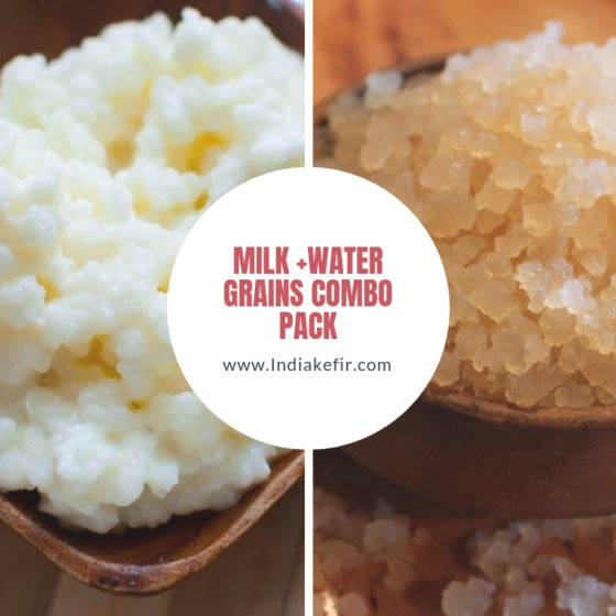Kefir in India | Kefir Grains | Kefir Grains in India |Buy Kefir Grains